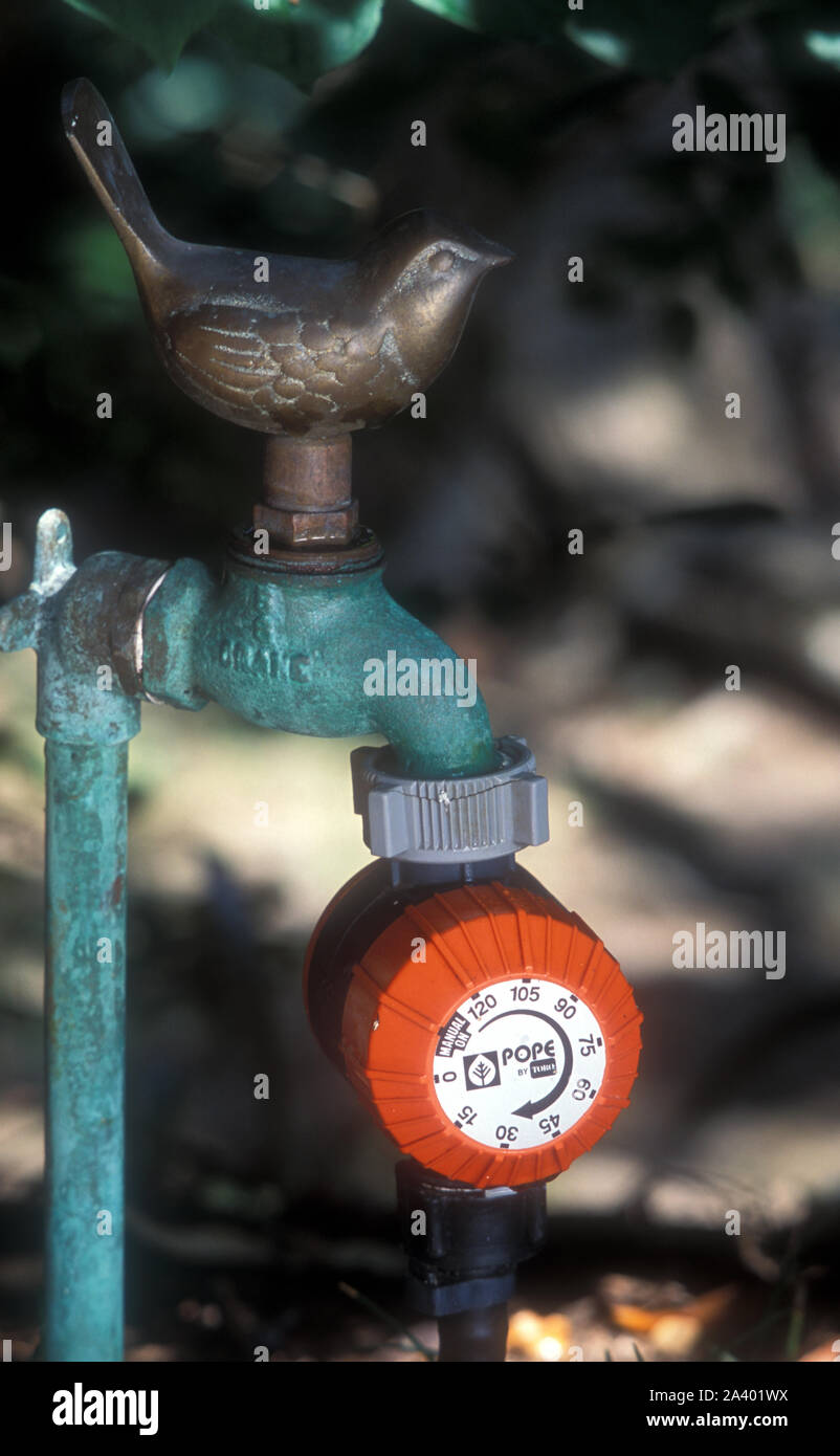 Birds watering australia hi-res stock photography and images - Alamy