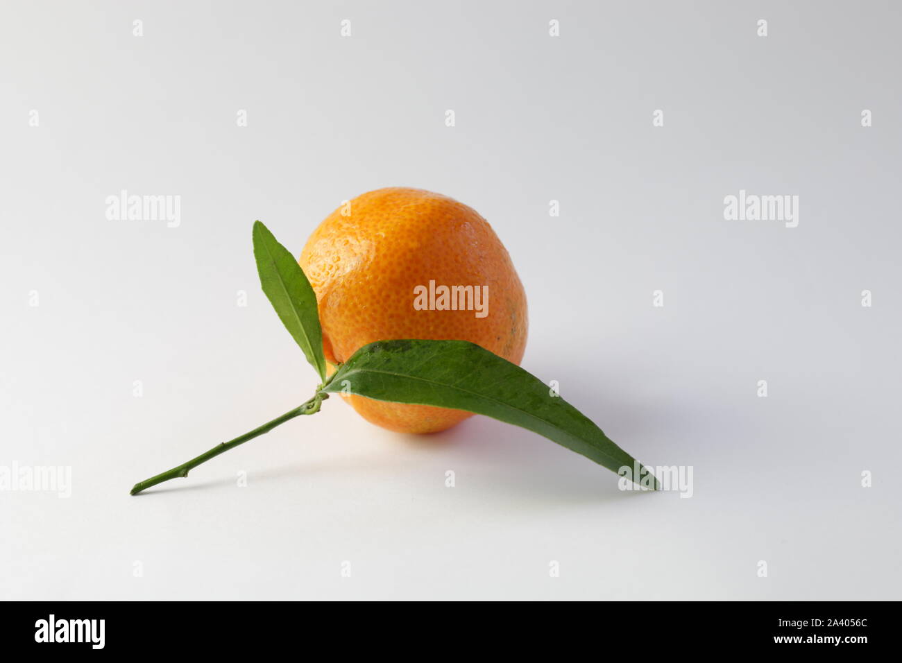 Close up of single fresh mandarin isolated on white background Stock ...