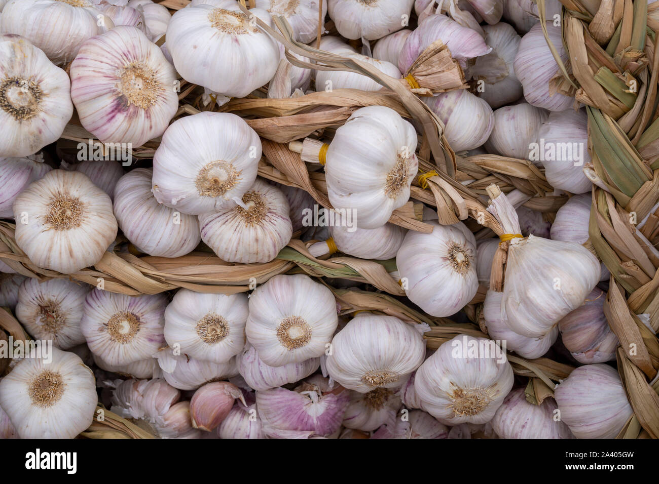 Garlic harvest, dried and braided for storage Stock Photo - Alamy