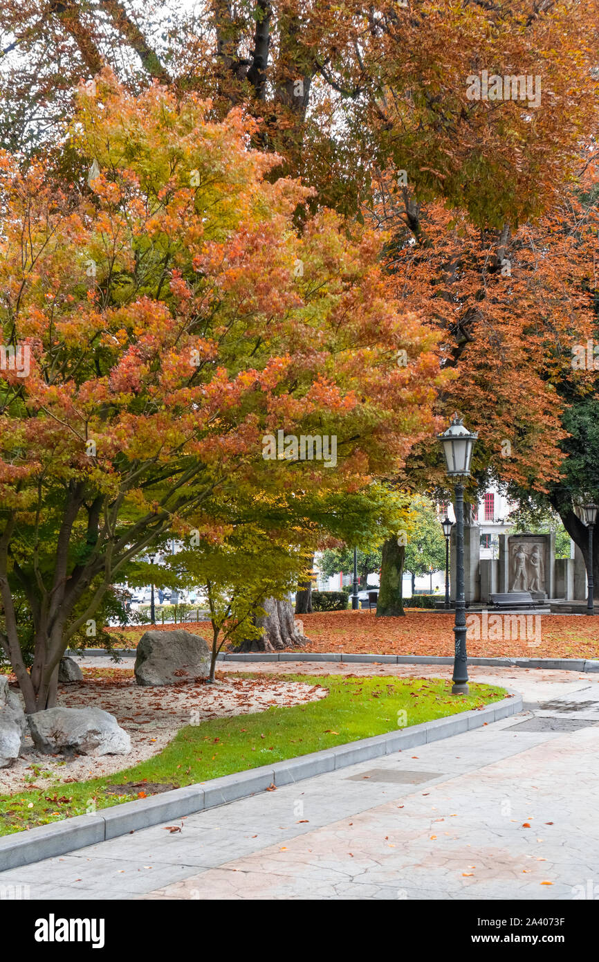 Beautiful lush Japanese maple tree with yellowing foliage in a park with antique lampposts ...
