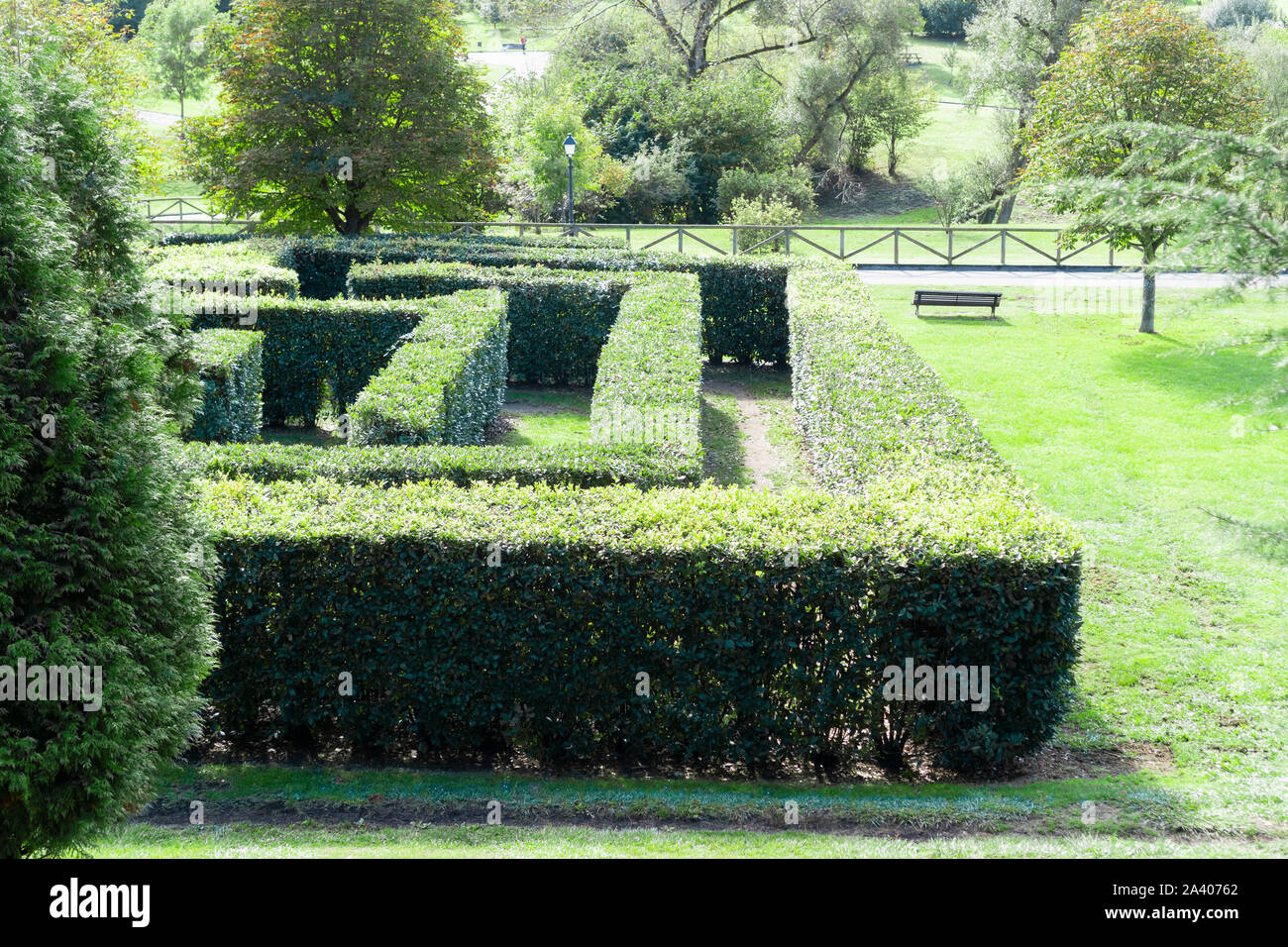 A labyrinth of green but yellowing bushes in a park with many trees and ...