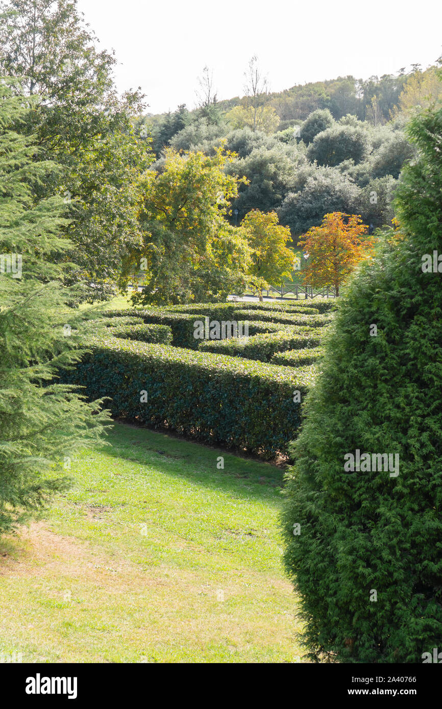 Rank vegetation hi-res stock photography and images - Alamy