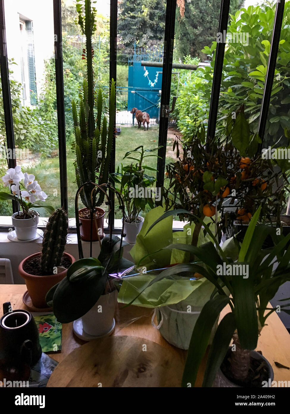 Artist appartment hi-res stock photography and images - Alamy