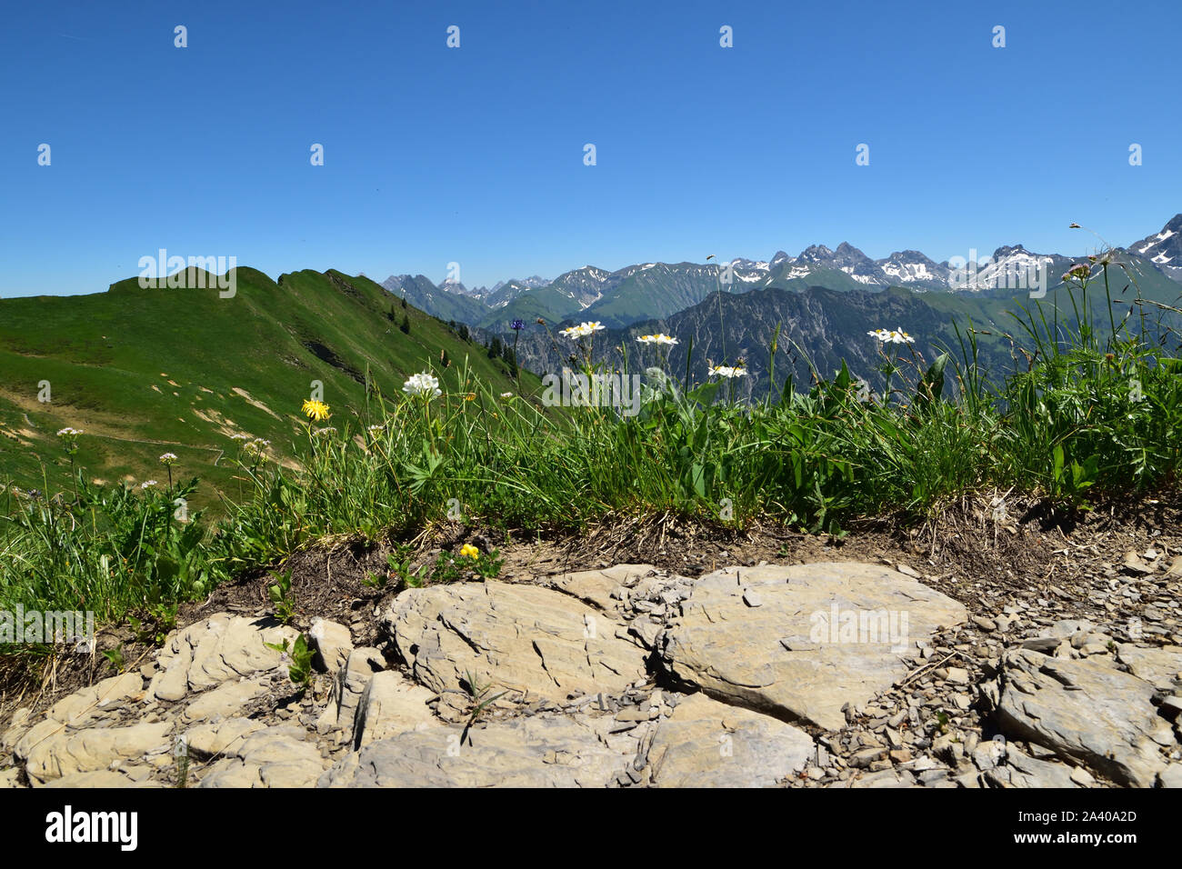 Beauty mountain panorama landscape with wildflowers Stock Photo - Alamy