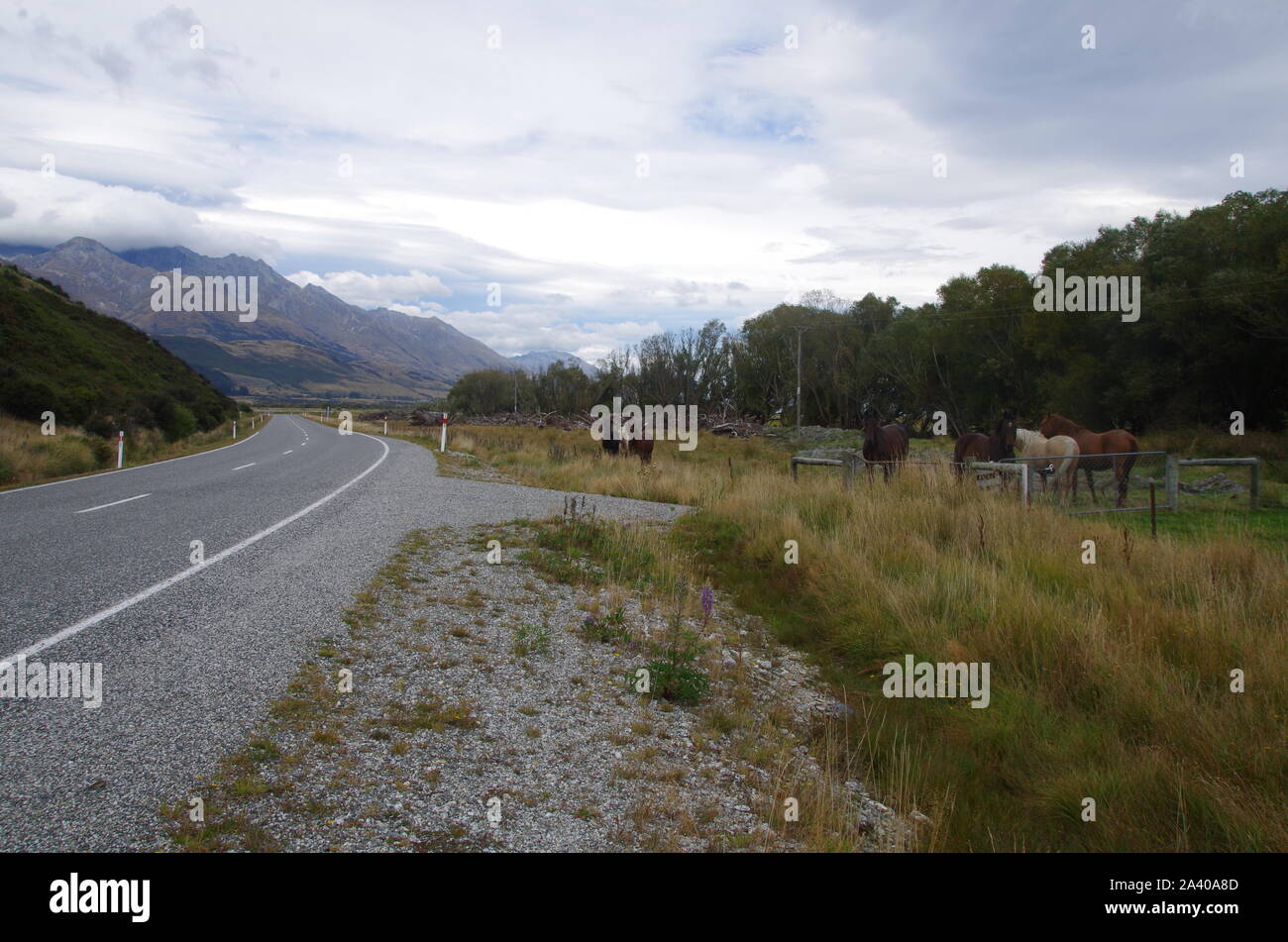 Te Araroa Trail. South Island. New Zealand Stock Photo - Alamy