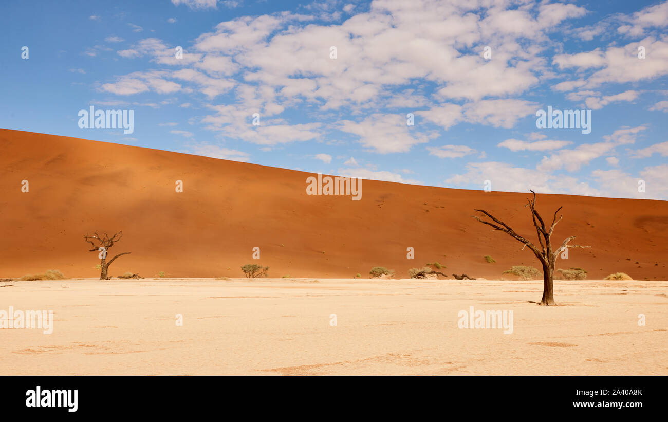beautiful landscape in the Namib desert at Deadvlei Stock Photo - Alamy