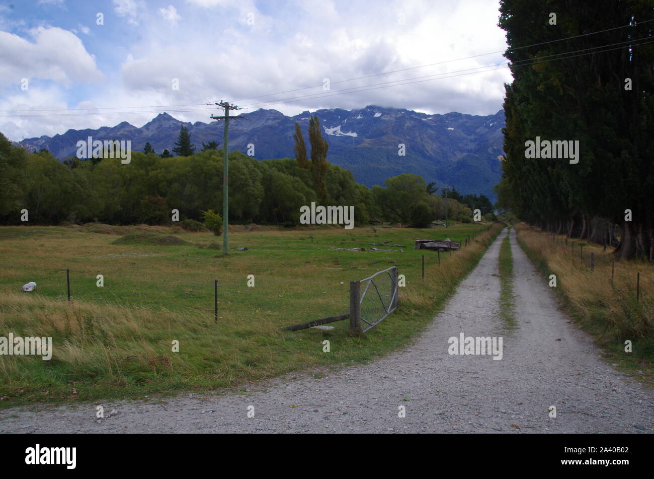 Te Araroa Trail. South Island. New Zealand Stock Photo - Alamy