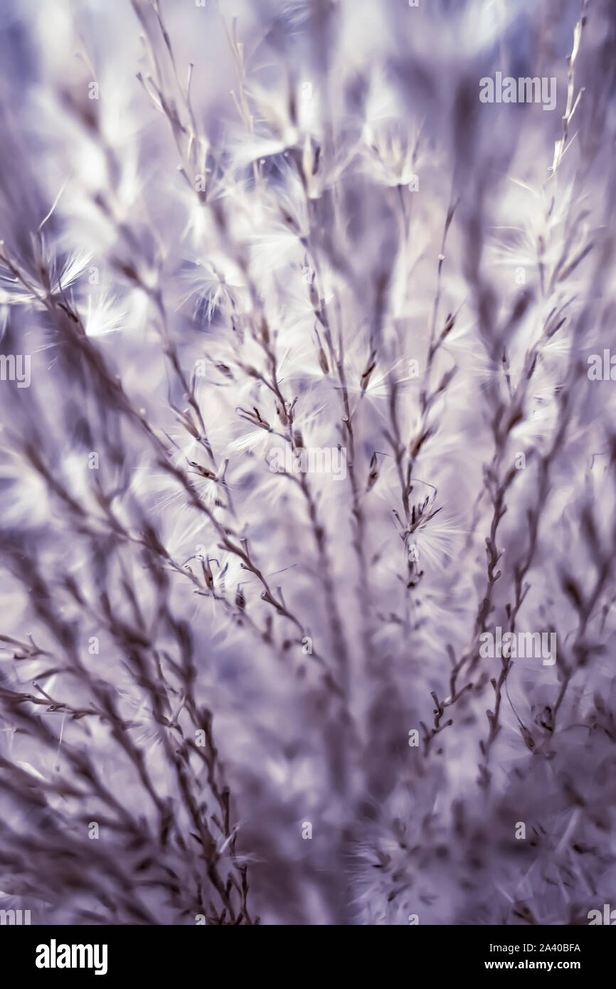 Rural landscape, pastel backdrop and environmental design concept ...