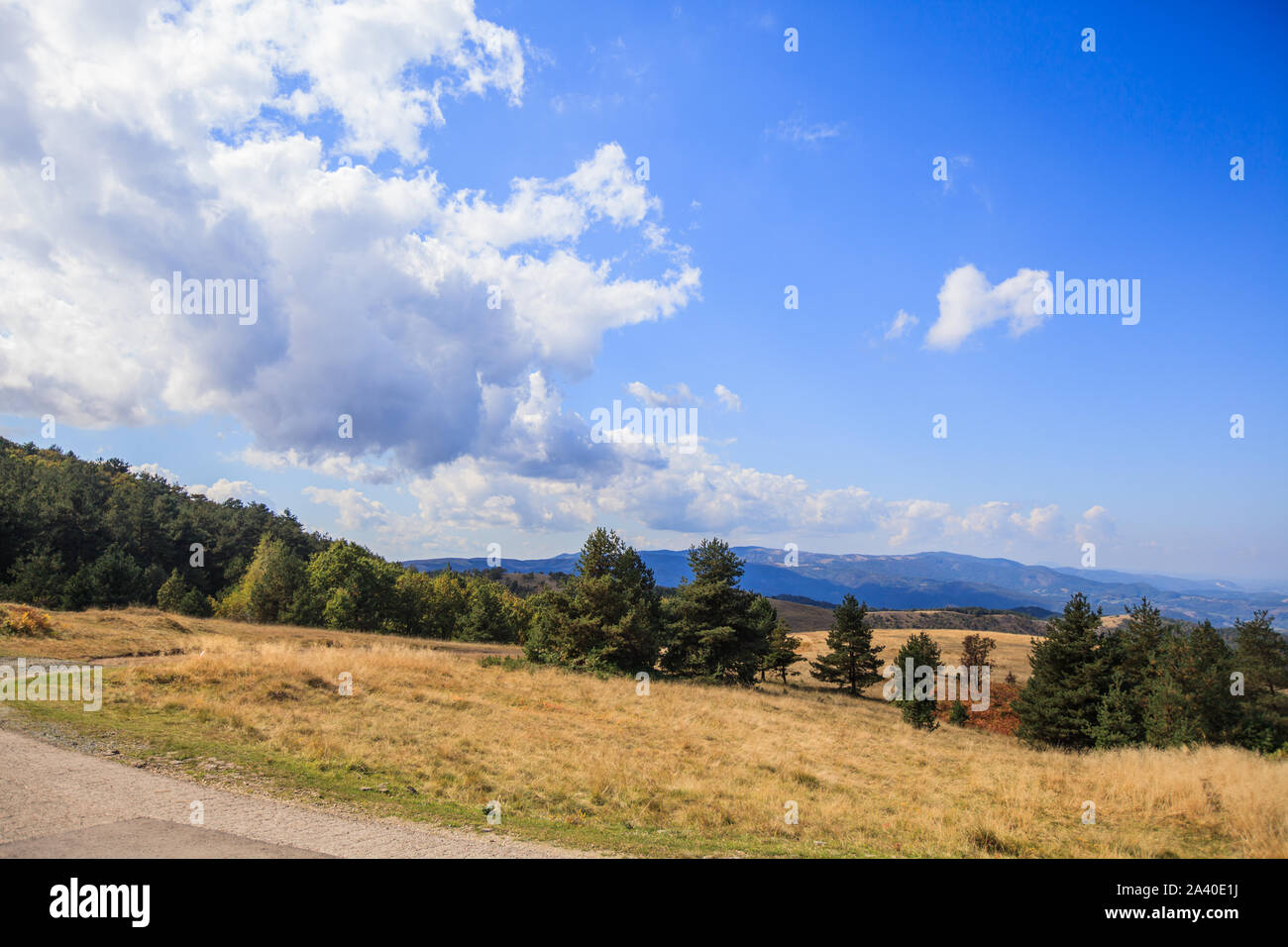Daylight landscape with nature hi-res stock photography and images - Alamy