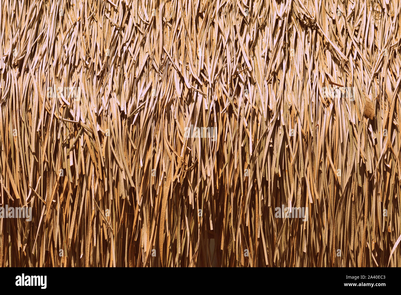 Palm roof texture close up. Retro style tropical background Stock Photo ...