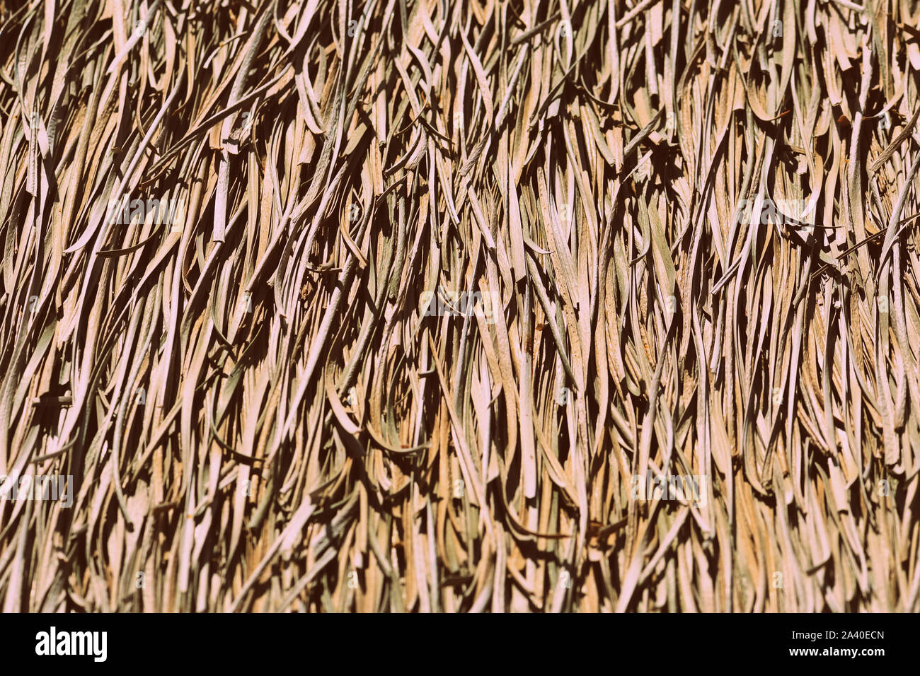 Palm roof texture close up. Retro style tropical background Stock Photo ...
