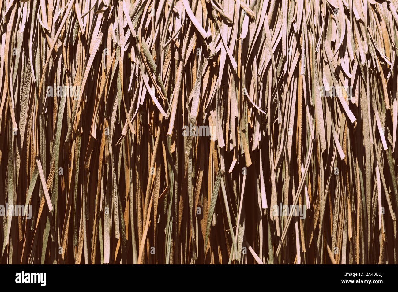 Palm roof texture close up. Retro style tropical background Stock Photo ...