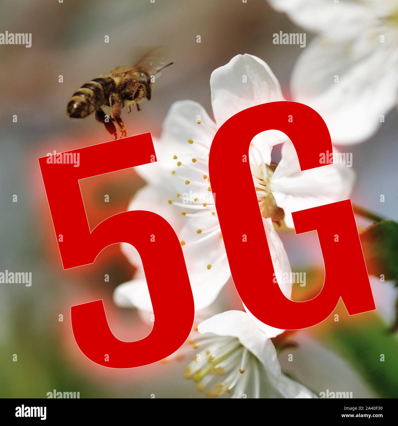 A concept on the impact of the fifth generation of “5G” mobile networks ...