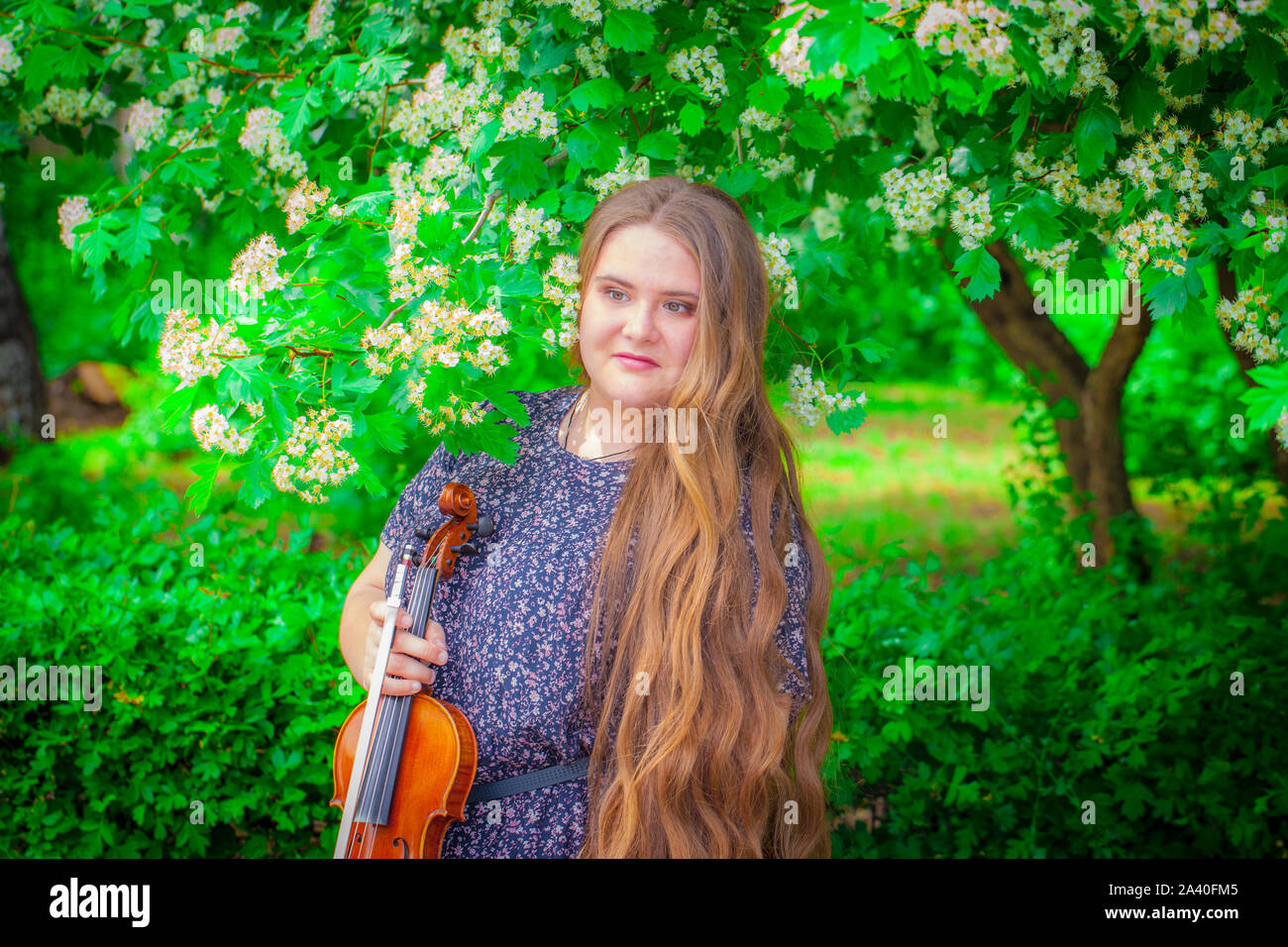 Portrait of a large model. Poley beautiful girl. Woman with a violin ...