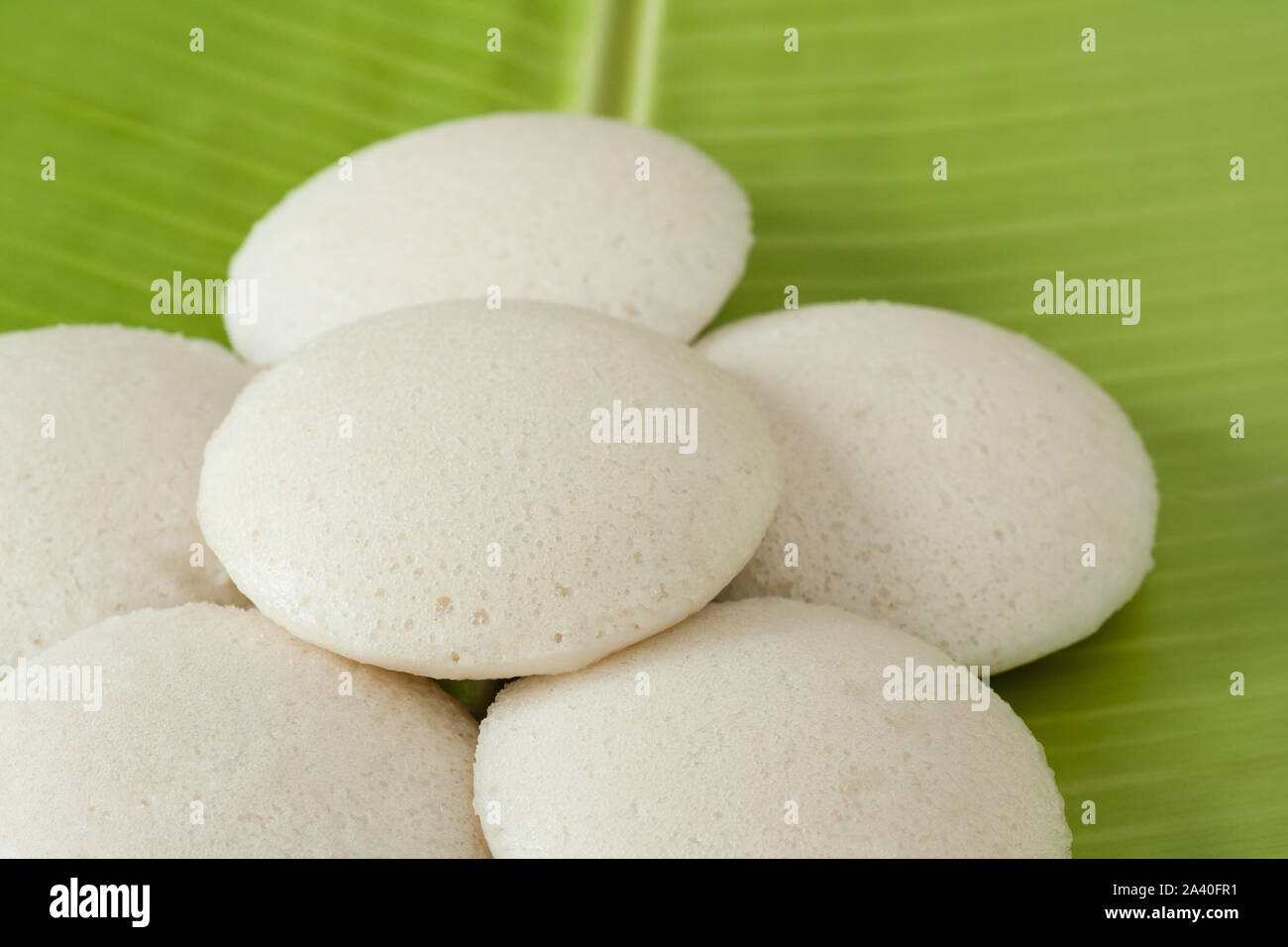 Fresh Indian idly - Fresh steamed Indian Idly (Idli / rice cake ...