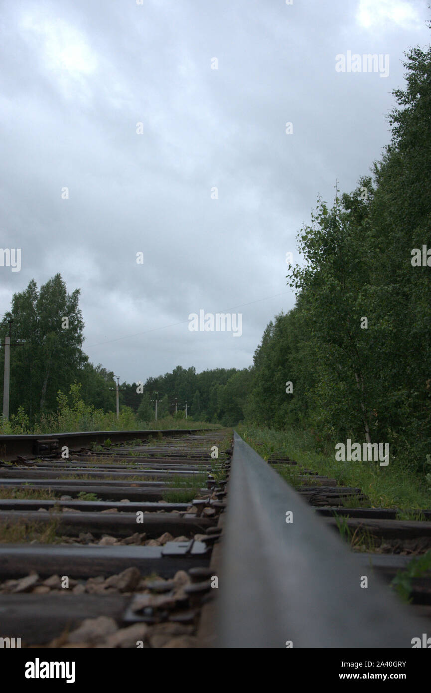 A forward view from a rail on railway tracks running through the forest ...