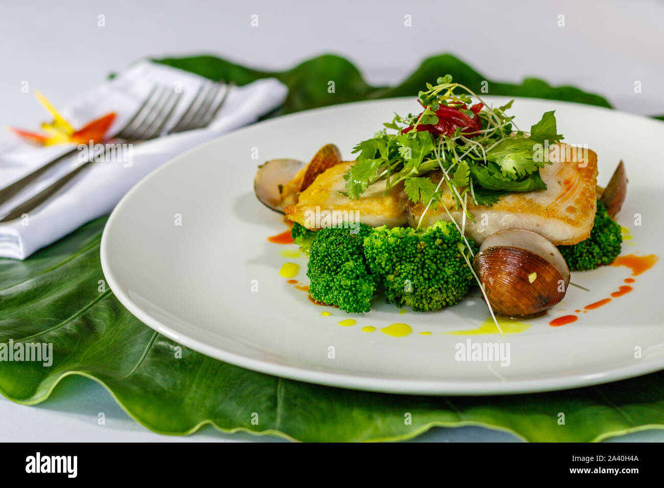 White ceramic plate with Mahi-mahi fillet and clams with broccoli ...