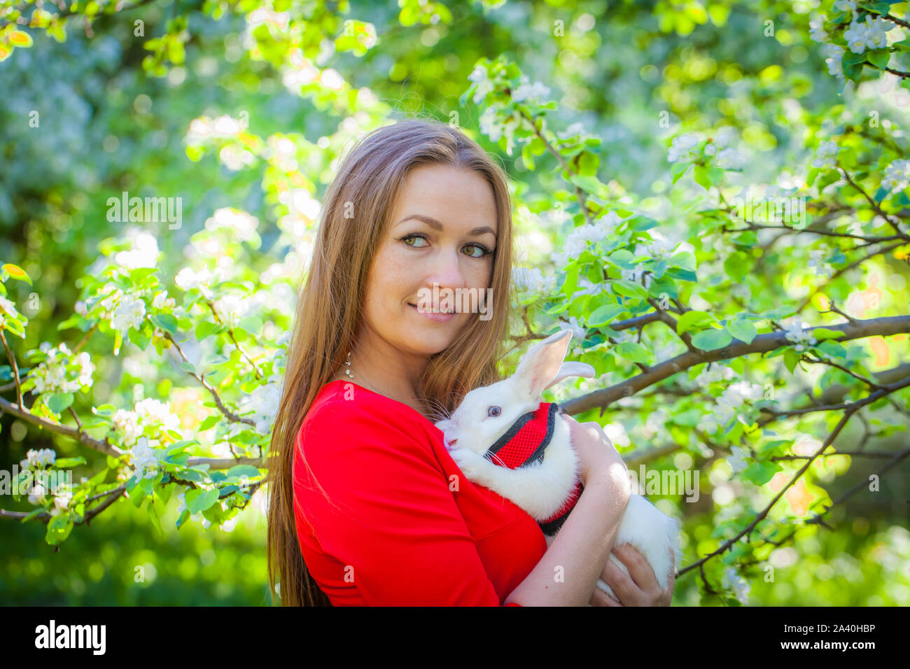 Beautiful girl with a rabbit. Woman in a red dress with a decorative ...