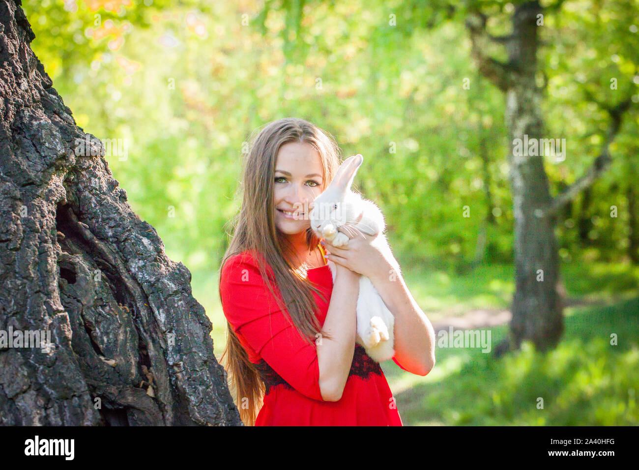 A beautiful girl in a red dress holds in her hands a white rabbit ...