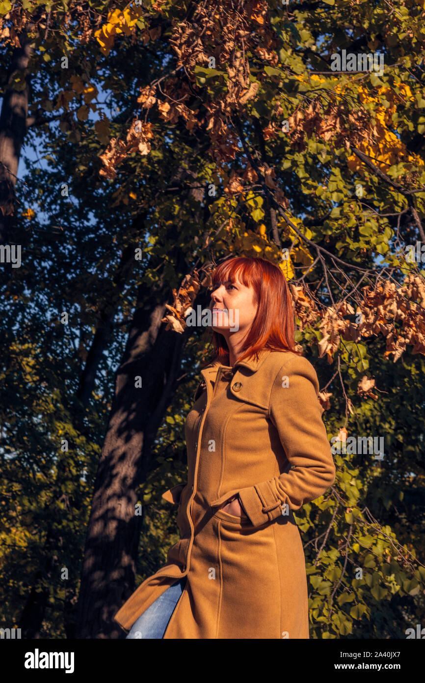 Colorful foliage in the park. Falling leaves natural background. Happy ...