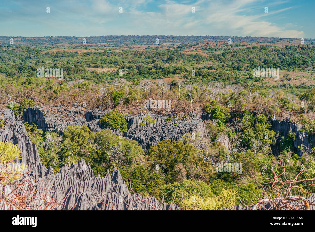 Tsingy de Bemaraha National Park, Madagascar Stock Photo - Alamy