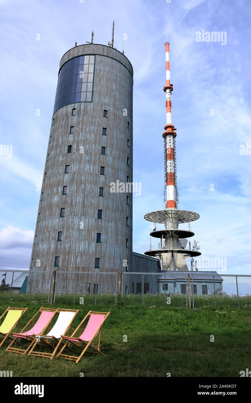 Round big trees trail hi-res stock photography and images - Alamy