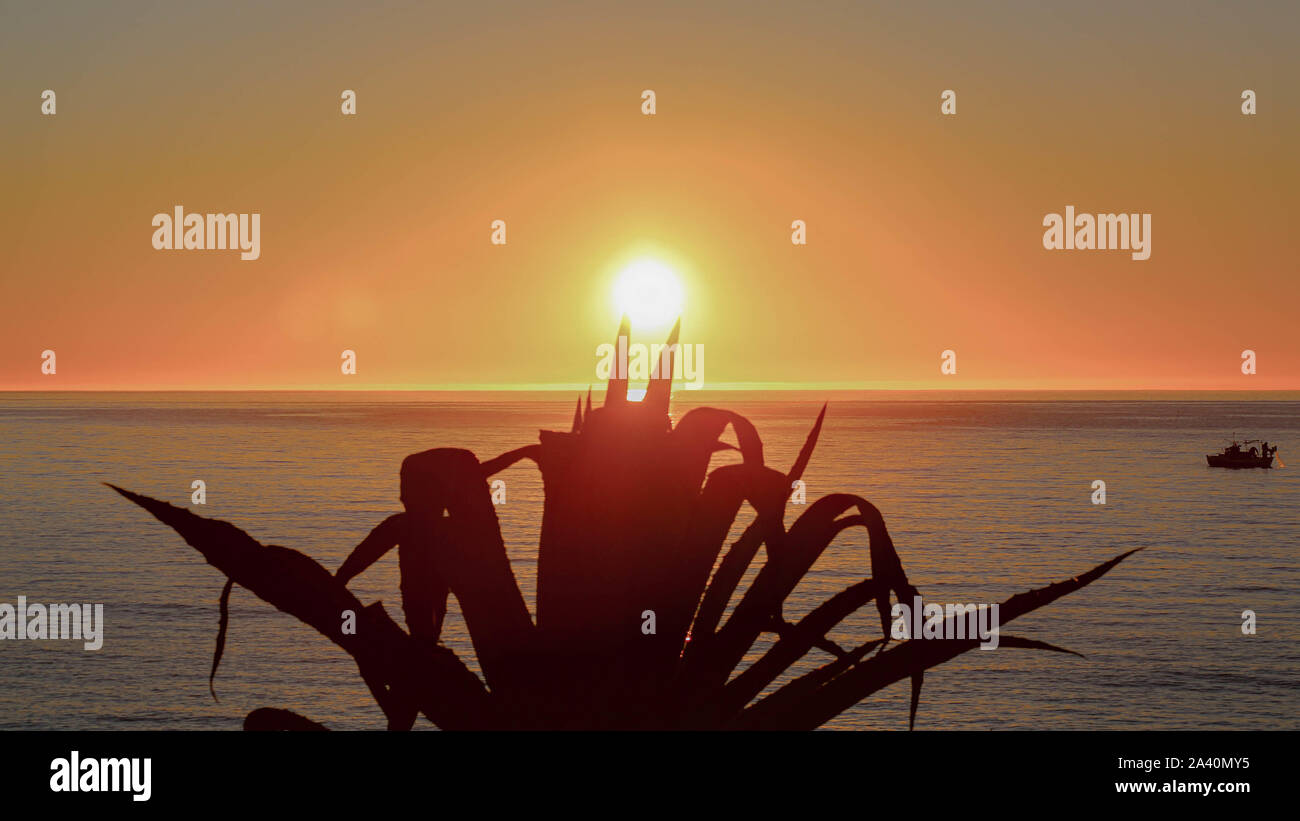 Fishing at sun rise hi-res stock photography and images - Alamy