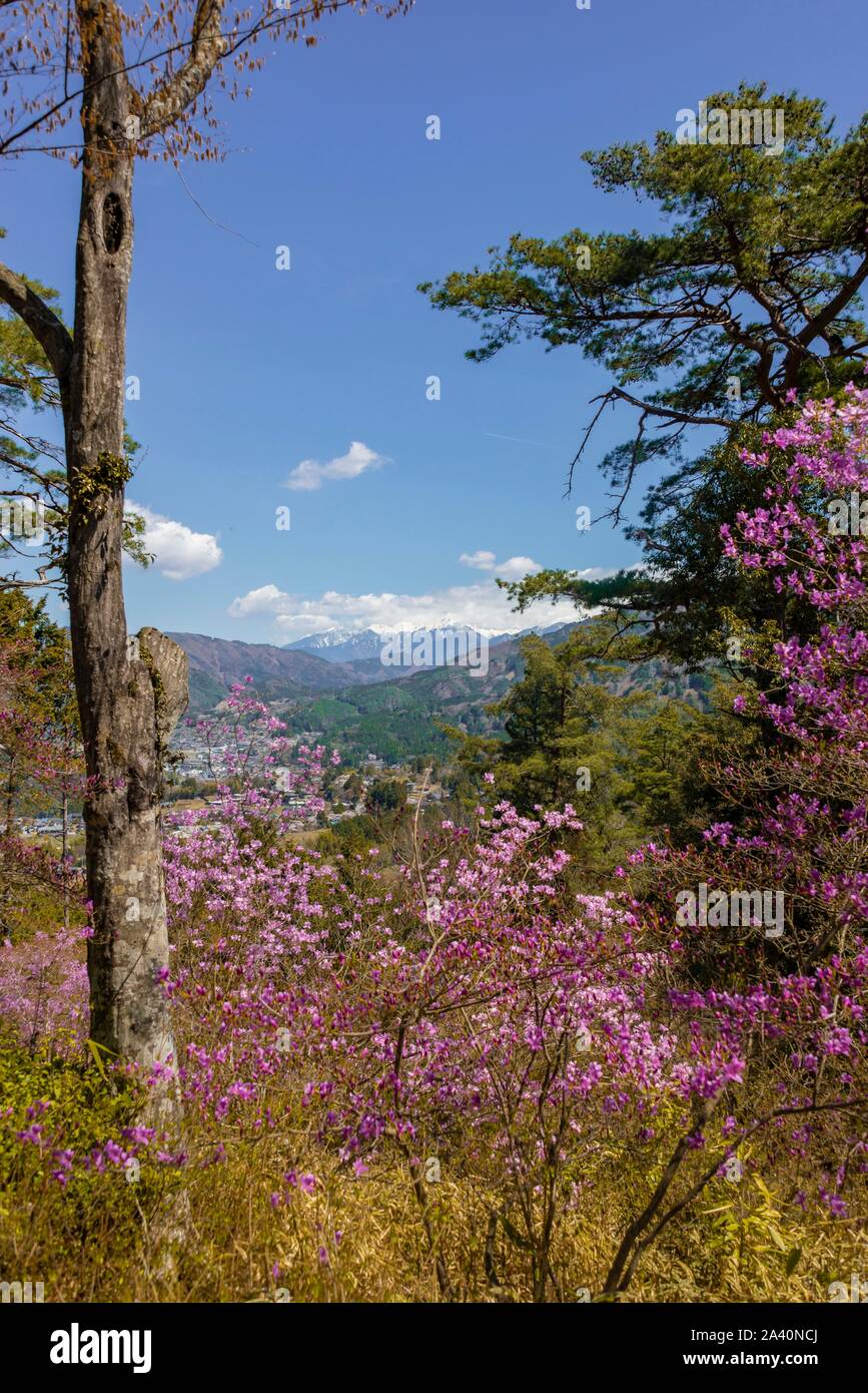 Pink valley hi-res stock photography and images - Alamy