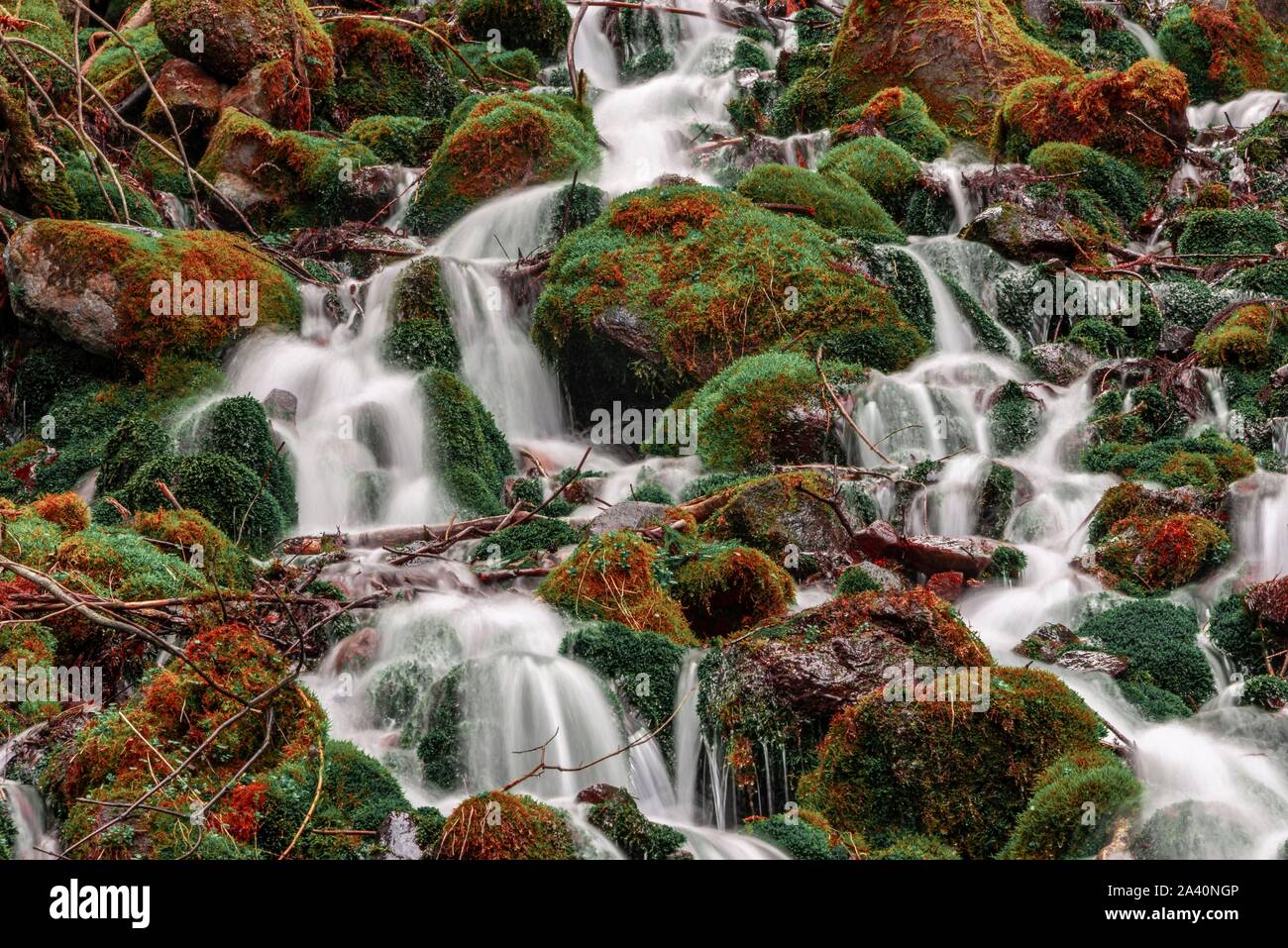 Waterfall, water flows over mossed stones, Nagano, Matsumoto, Japan ...