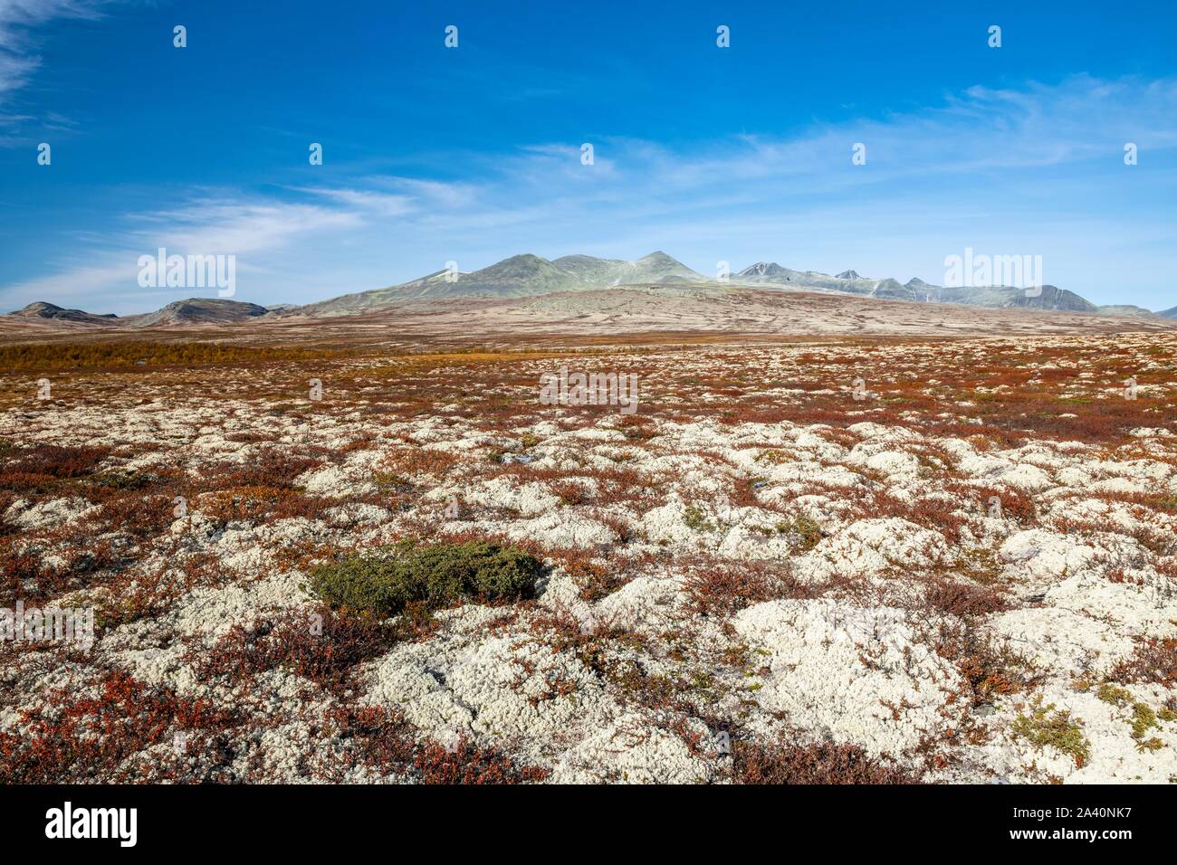 Autumnal tundral landscape in Rondane National Park, Norway Stock Photo ...