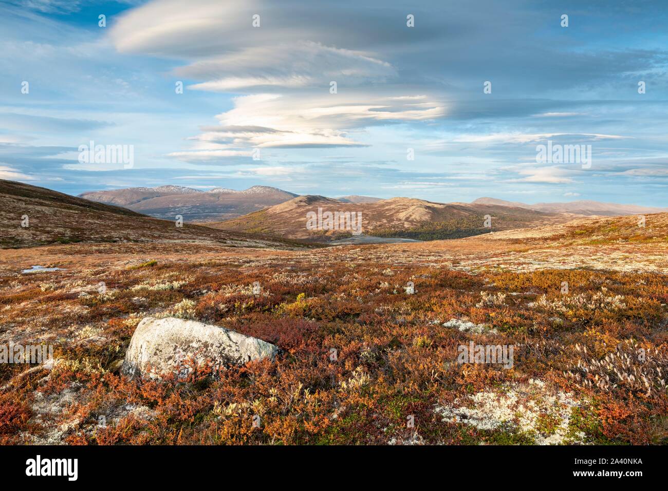 Autumnal Tundral landscape in Dovrefjell, Dovrefjell-Sunndalsfjella ...