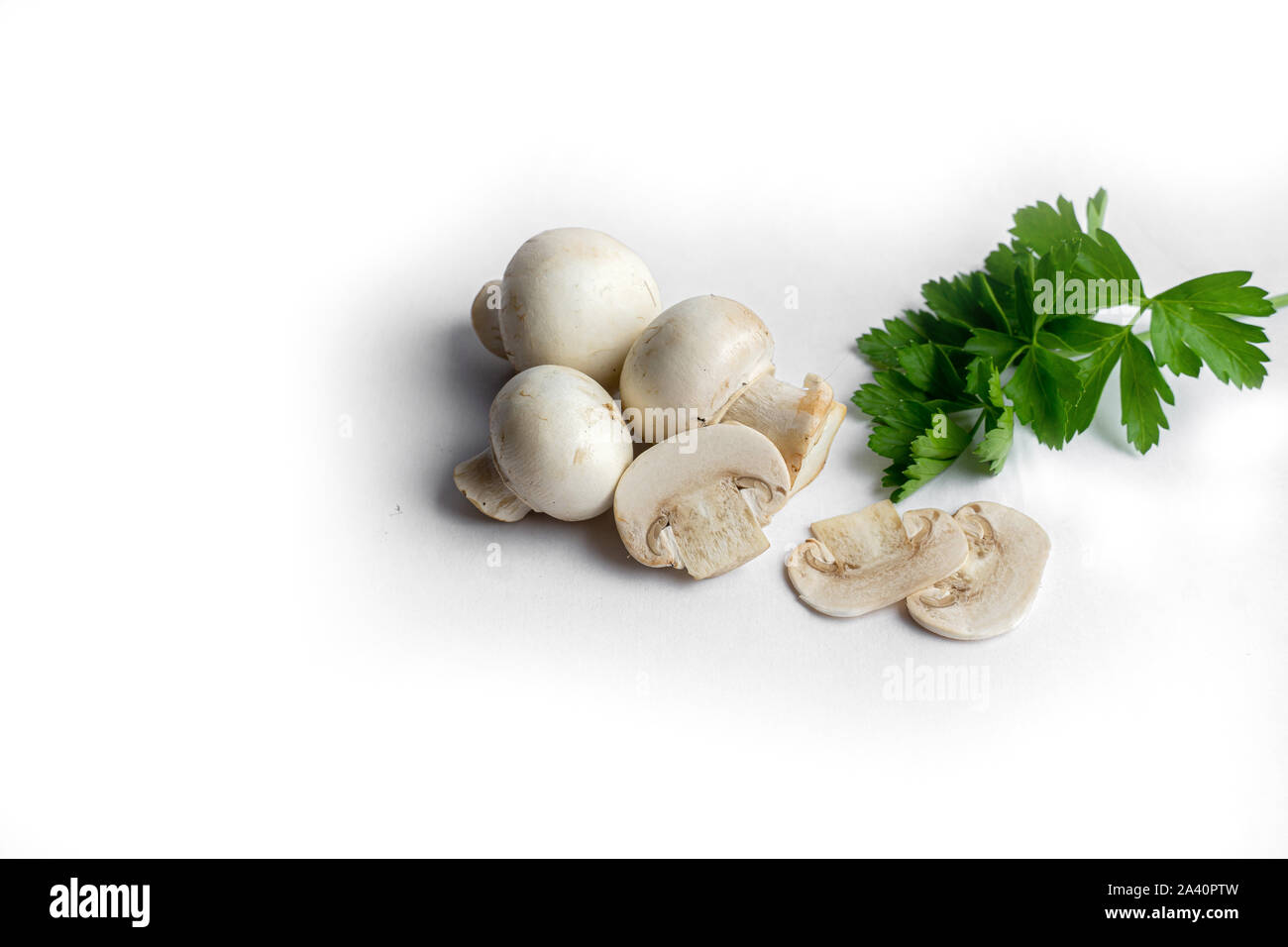 Champignon mushroom isolated on white background Stock Photo - Alamy