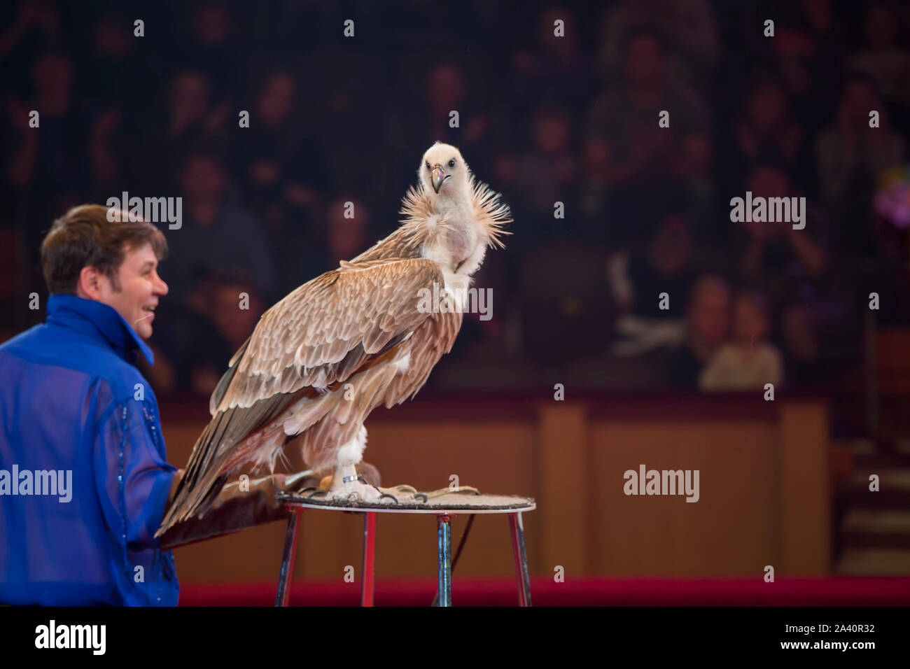 Trained vulture hi-res stock photography and images - Alamy