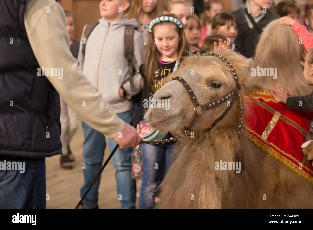 Belarus, the city of Goamel, April 07, 2019. Circus "Illusion of ...