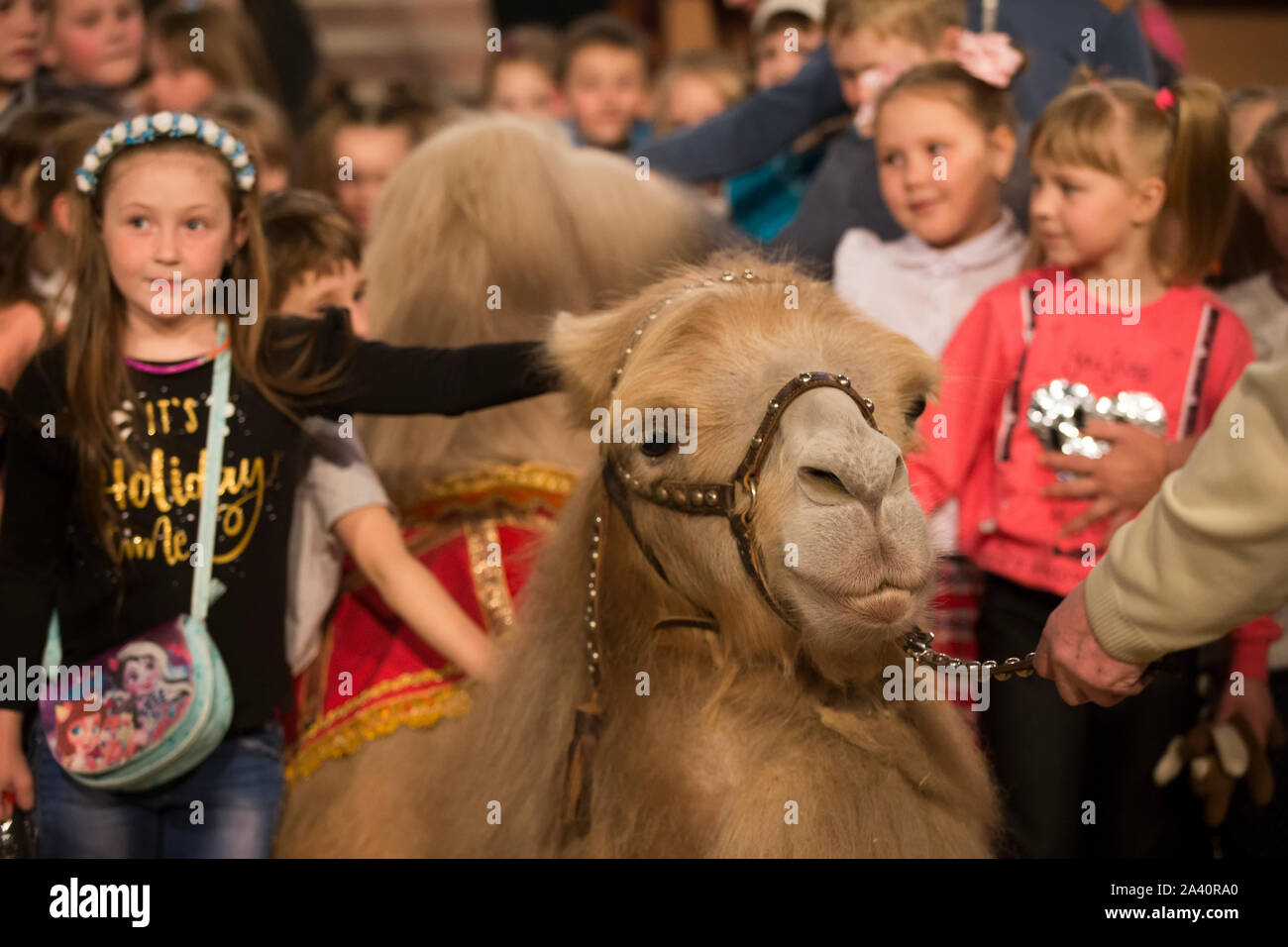 Belarus, the city of Goamel, April 07, 2019. Circus "Illusion of ...