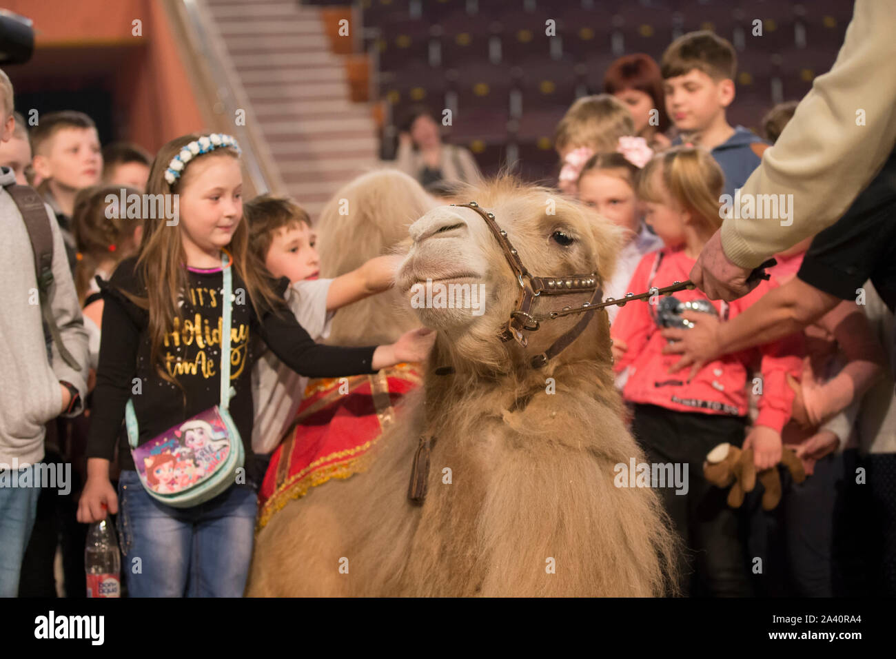 Belarus, the city of Goamel, April 07, 2019. Circus "Illusion of ...
