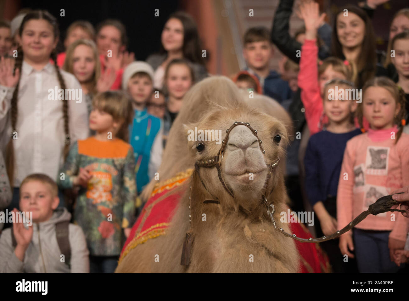 Belarus, the city of Goamel, April 07, 2019. Circus "Illusion of ...