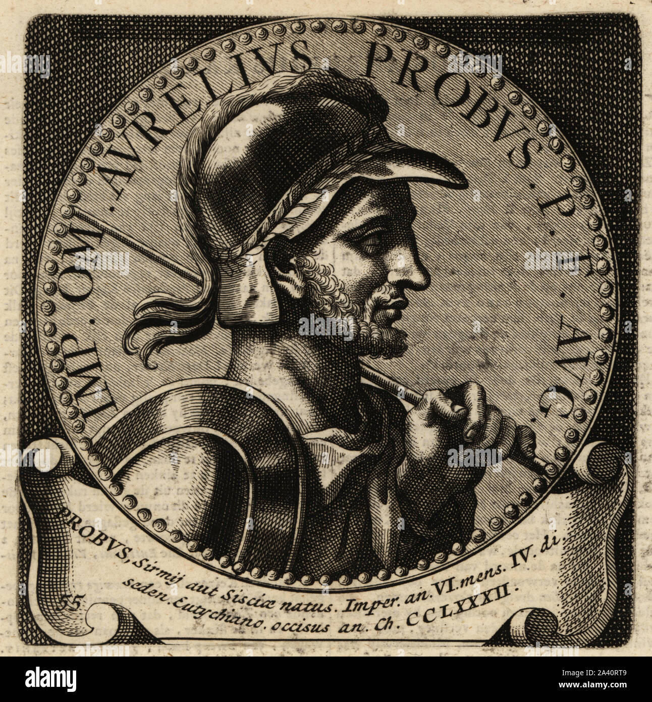 Emperor probus hi-res stock photography and images - Alamy