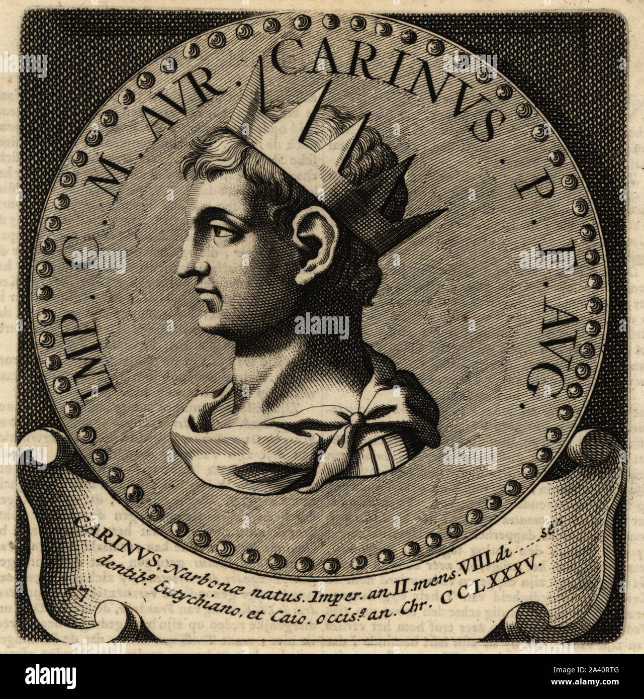 Carinus augustus hi-res stock photography and images - Alamy