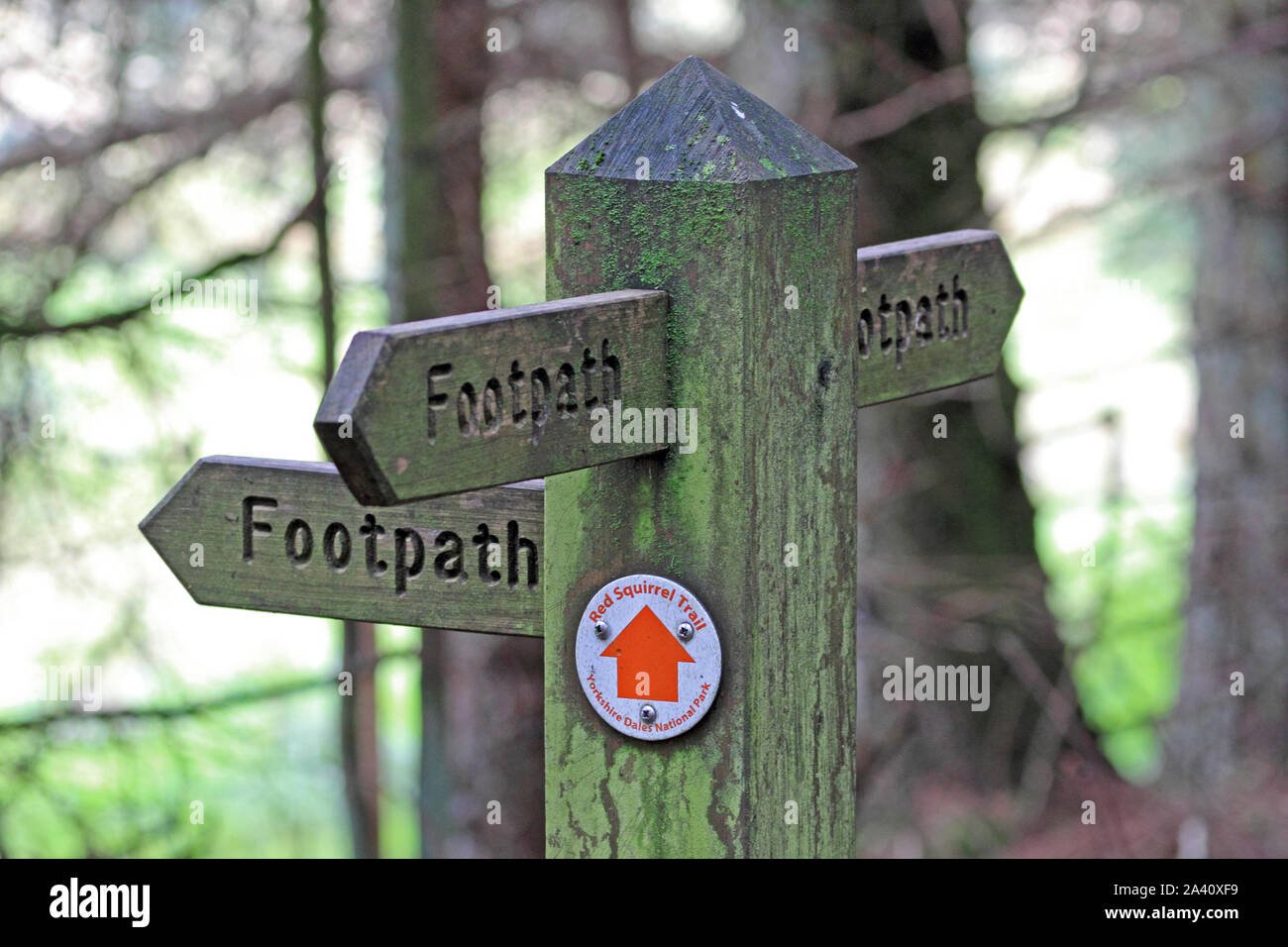 Red Squirrel Trail sign, Snaizeholme Stock Photo - Alamy