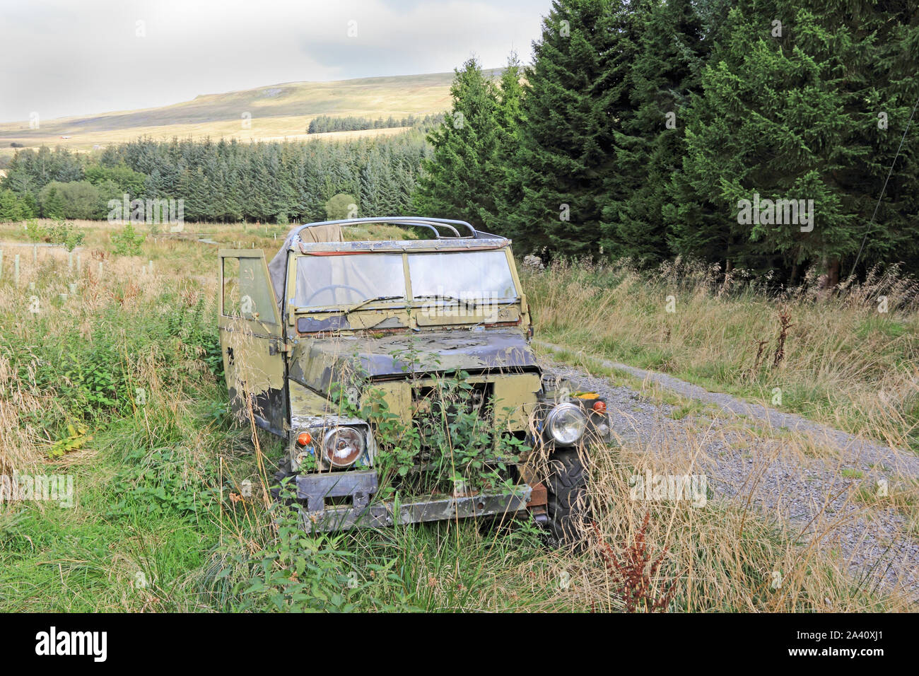 Abandoned ex-Army Land Rover, beside forest track, North Yorkshire ...