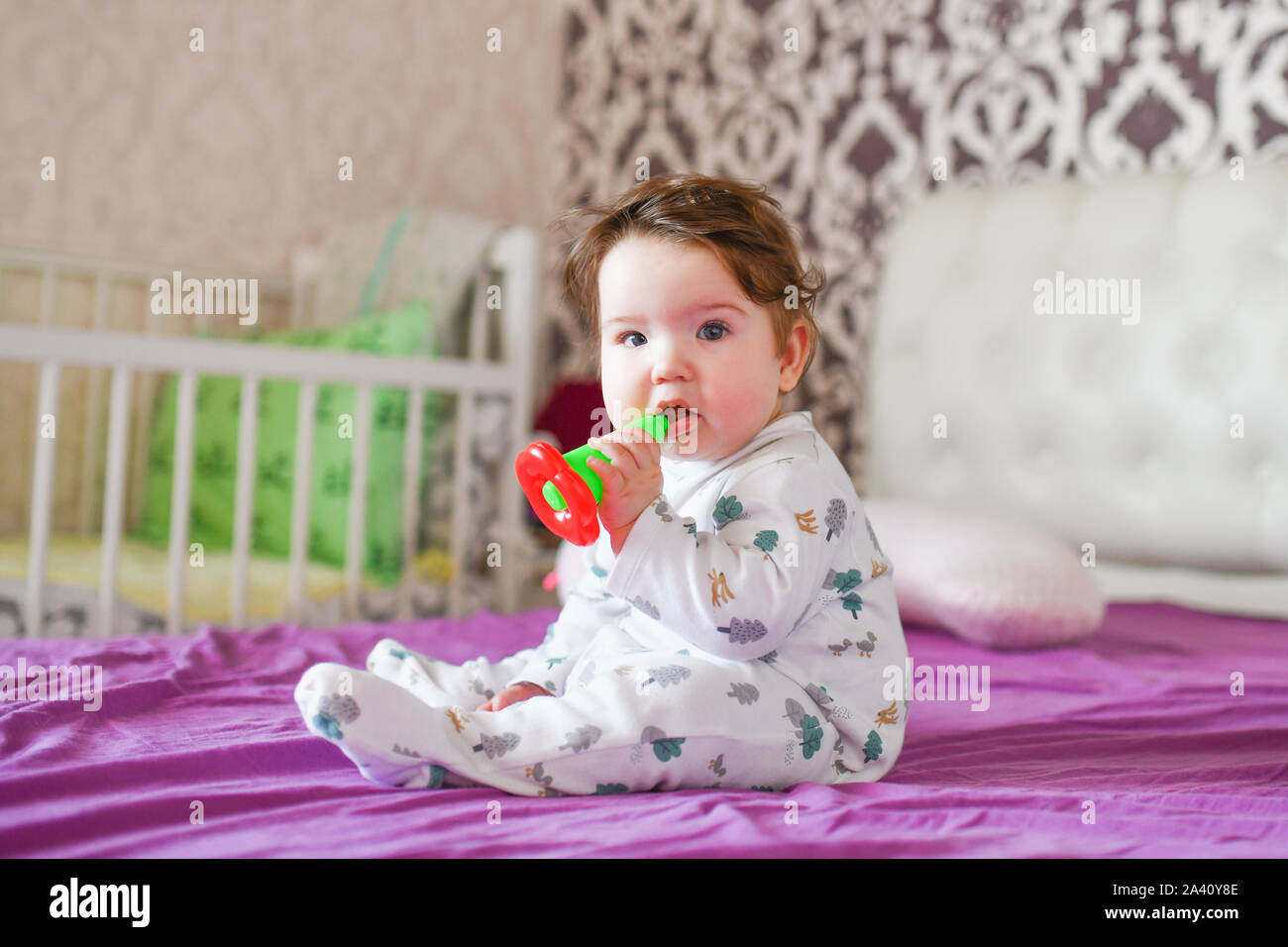 baby nibbles a toy. closeup portrait little cute girl with big blue ...