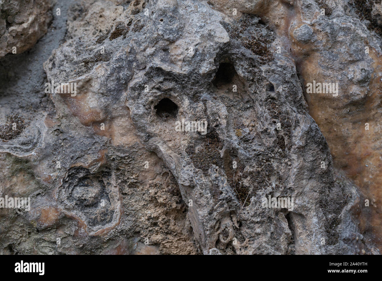 gray stone rock ornament for wallpaper and for background Stock Photo ...