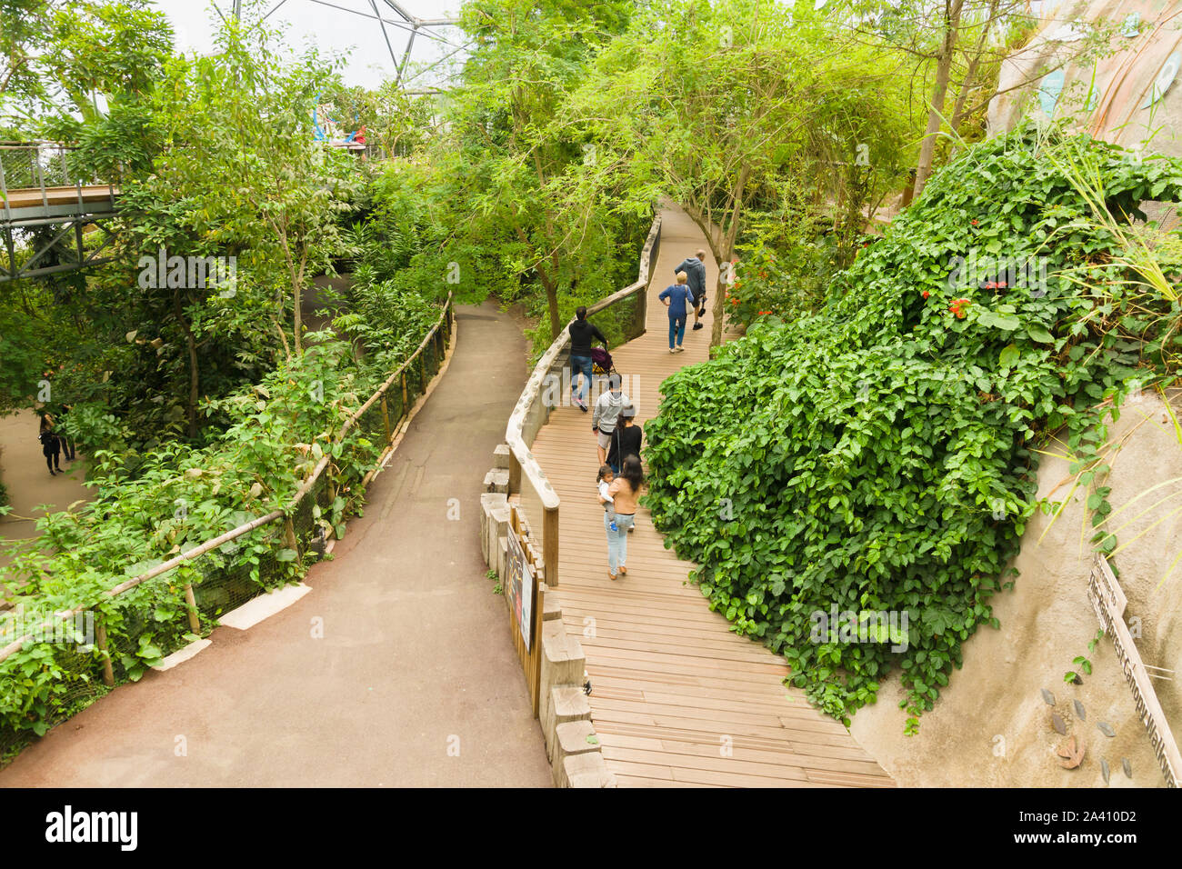 Visitors in the Eden Project rainforest biome. A popular visitor ...