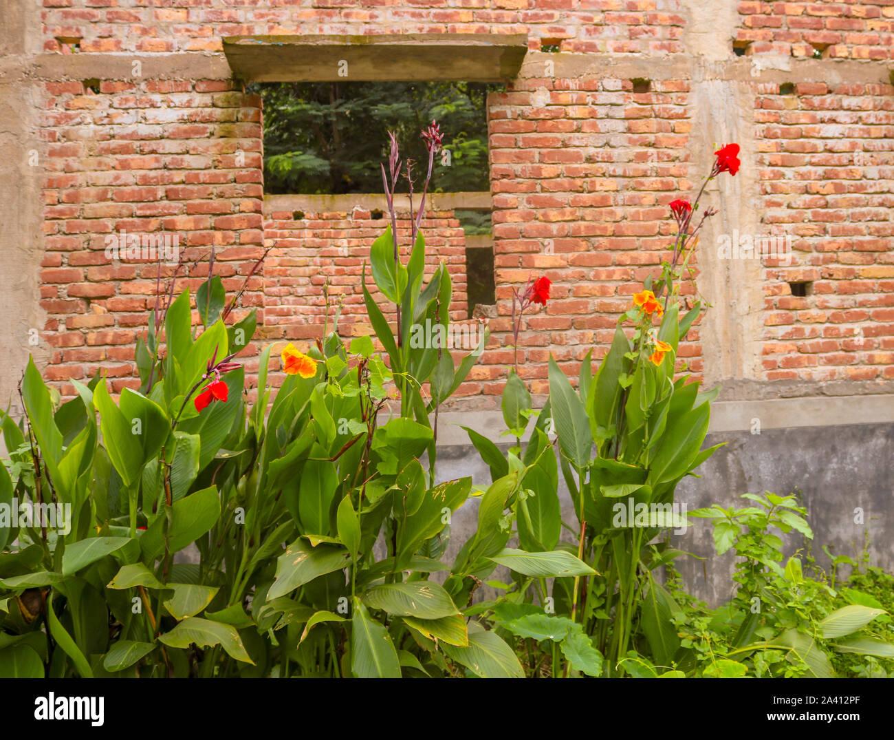 Red brick wall with flowers hi-res stock photography and images - Alamy