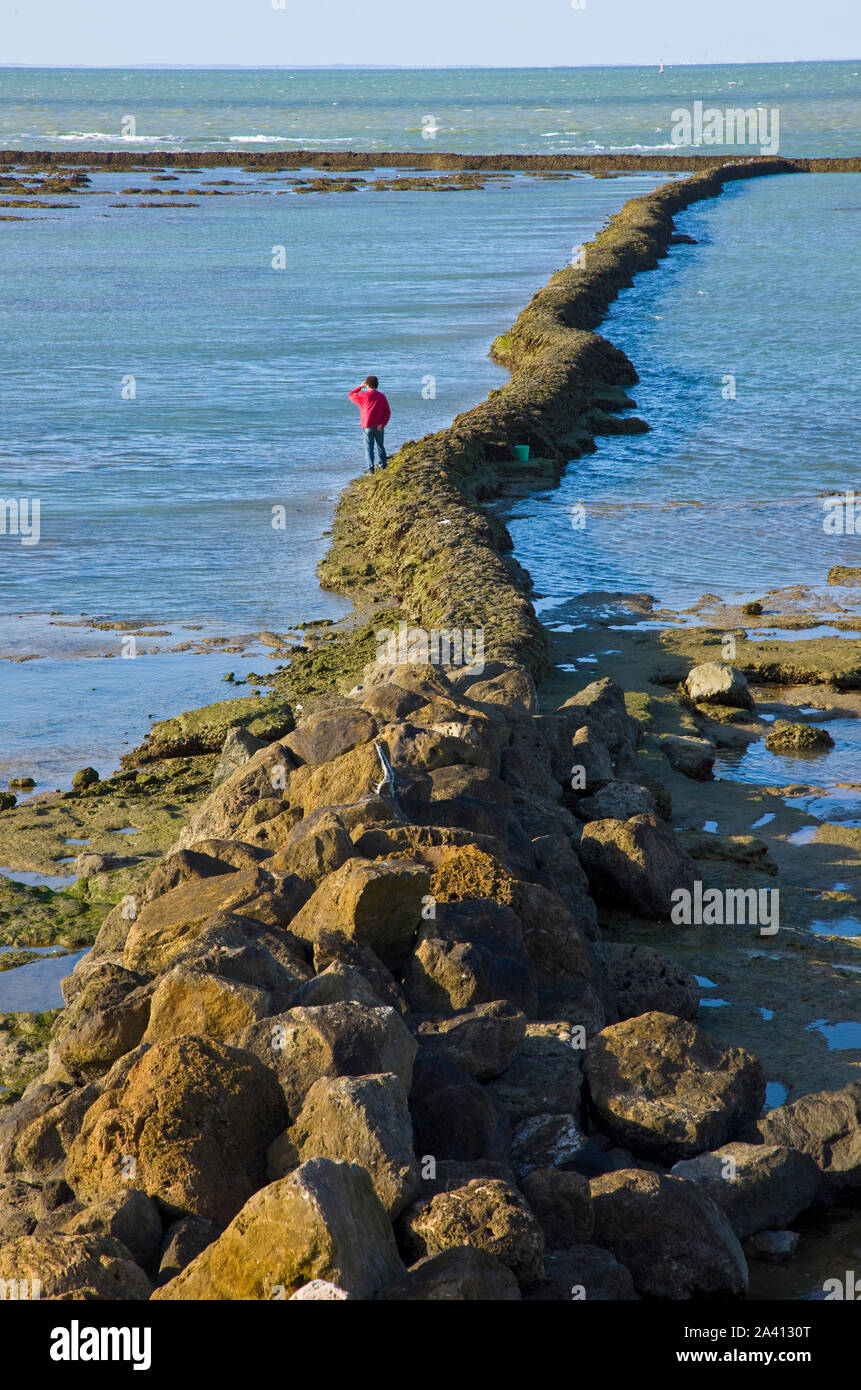 Corrales de pesca hi-res stock photography and images - Alamy