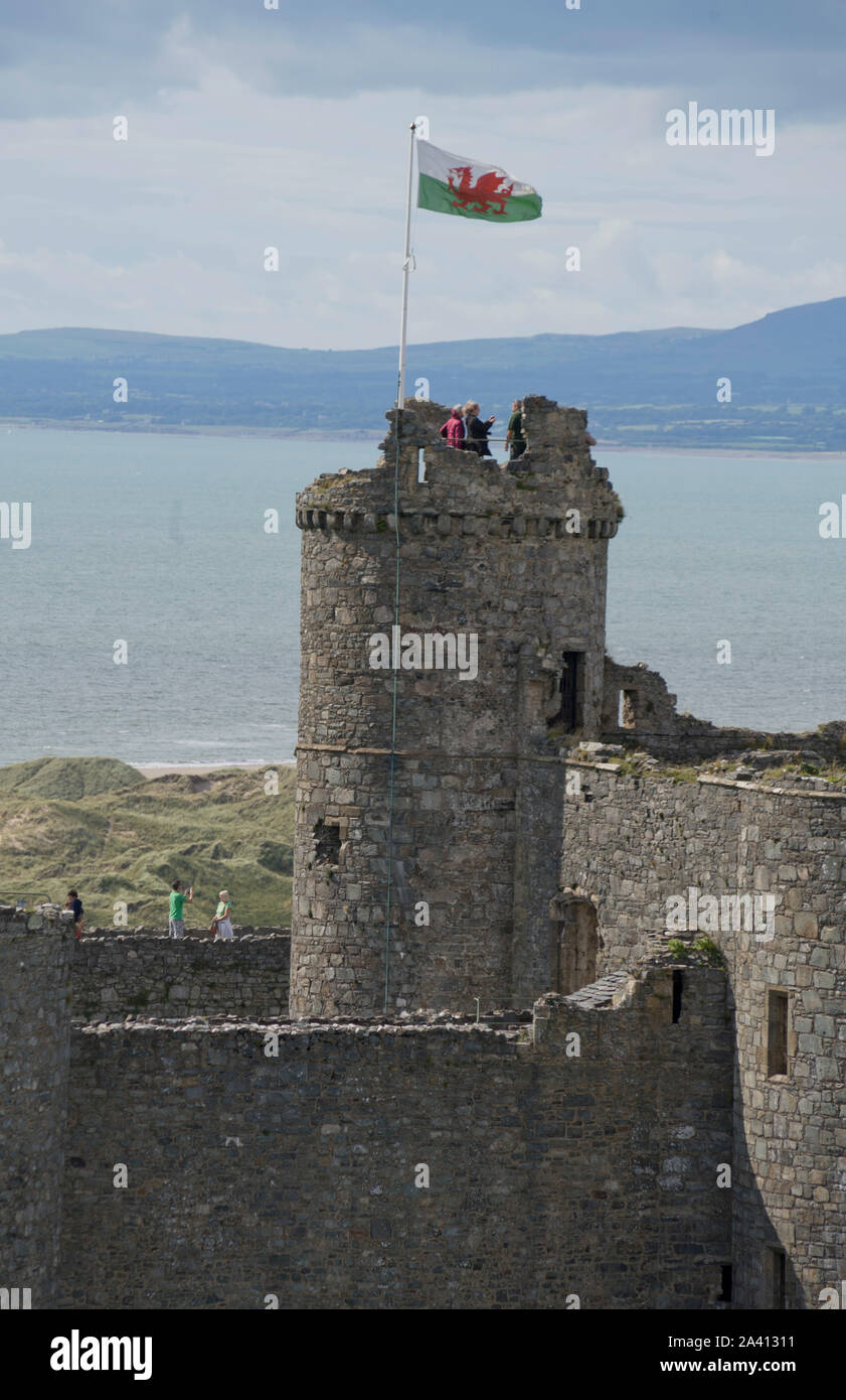 Views of medieval Harlech Castle in Gwynedd, Wales,UK Stock Photo - Alamy
