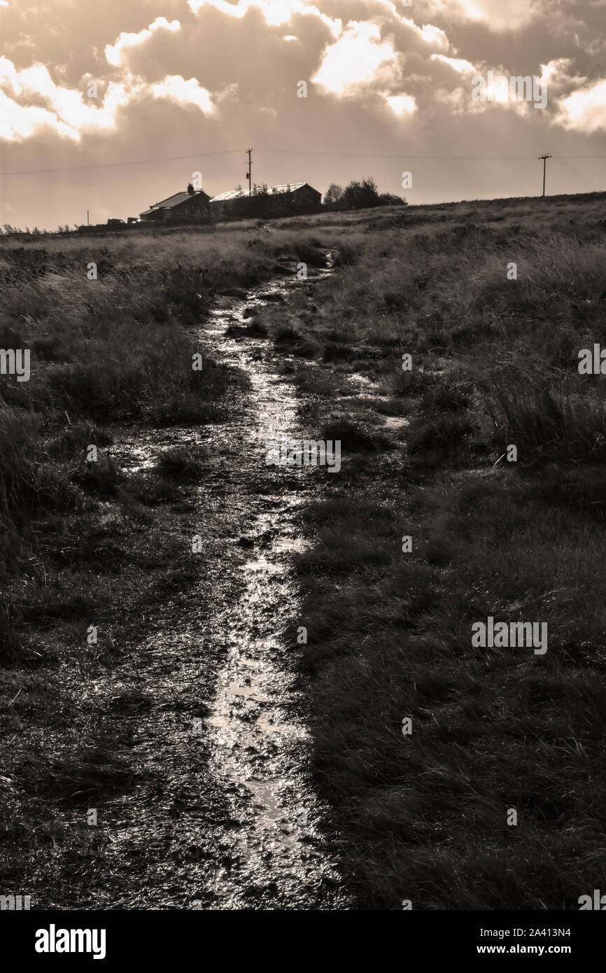 Footpath, Pennine Way, Heptonstall Moor, Hebden Bridge, South Pennines ...