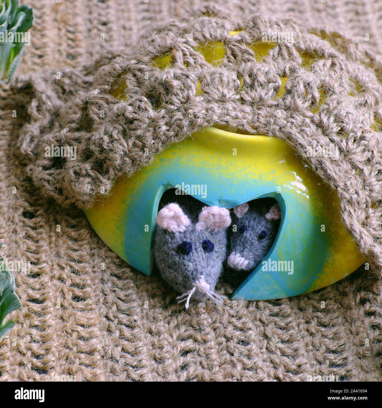 Funny concept for rat year, couple mouse animal warm in mice cave that ...