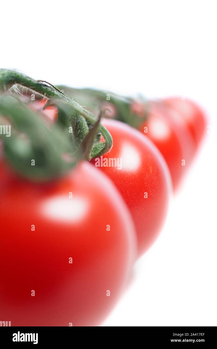 Fresh ripe tomatoes on the vine isolated on white background Stock ...